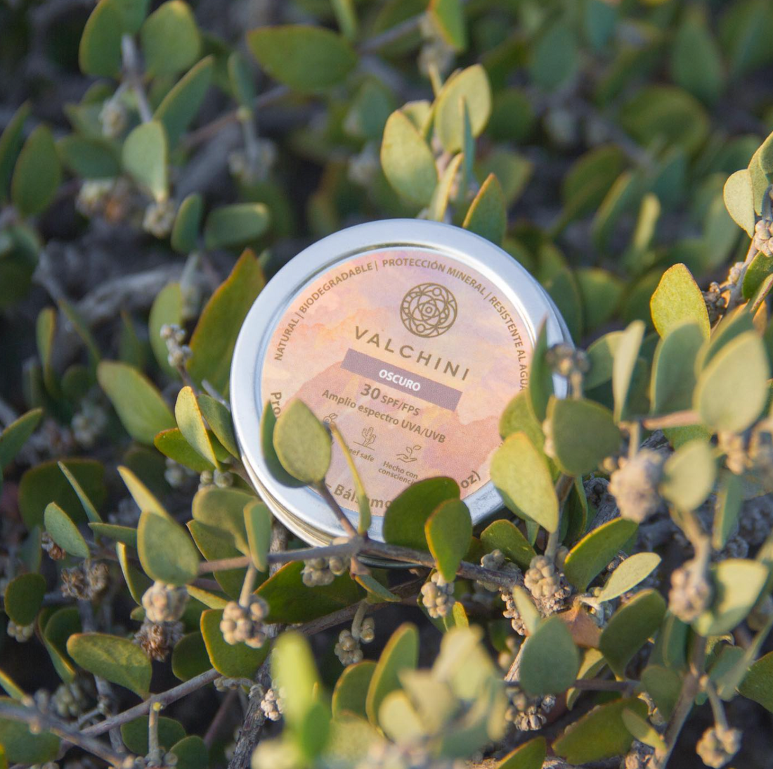 Bálsamo Facial Protector Solar Ecológico - Cuidado Diario para una Piel Sana y Ecológica ...